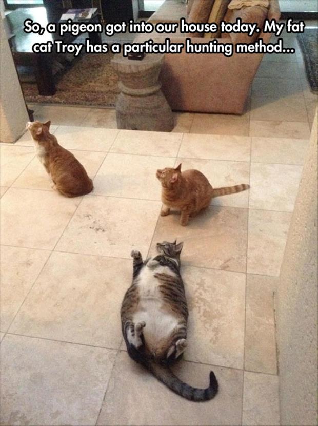 BestDailyMemes.com - #best #Daily #funny #memes on the internet