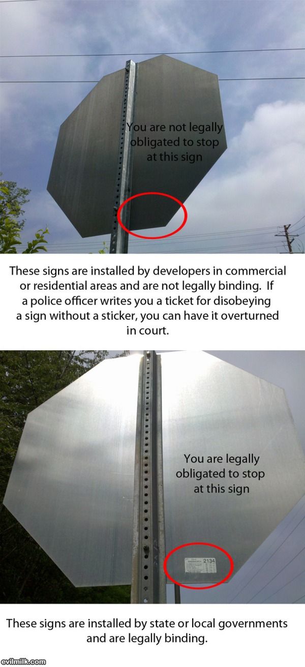 BestDailyMemes.com - #best #Daily #funny #memes on the internet